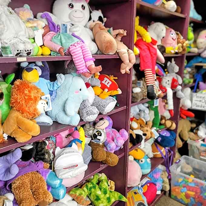 Stuffed animals waiting patiently for second chances at becoming someone's most beloved bedtime companion once again.