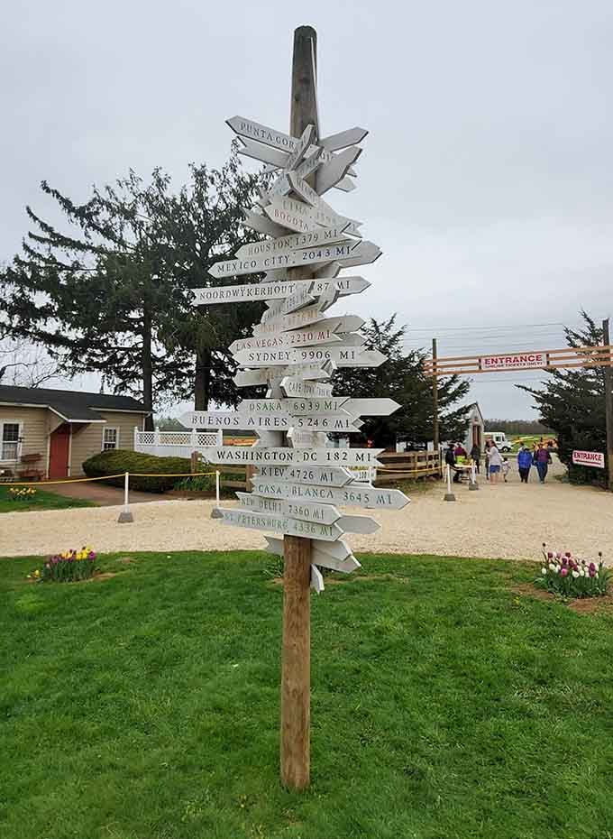 This whimsical signpost lists distances to everywhere you're not, reminding you that paradise is actually right here in Cream Ridge.