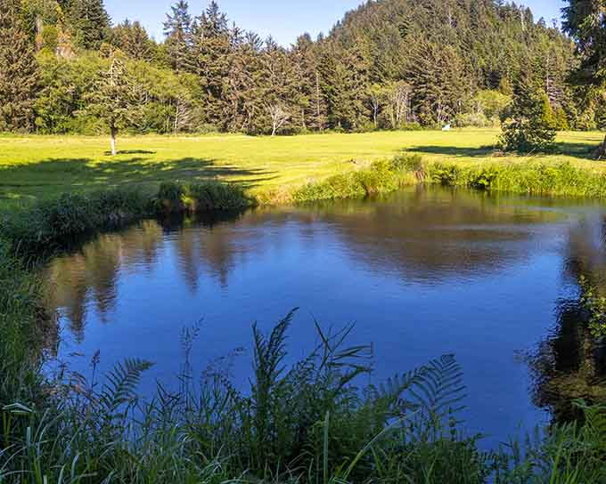 A peaceful pond reflecting the sky, surrounded by green meadows&mdash;nature's own meditation spot right here.