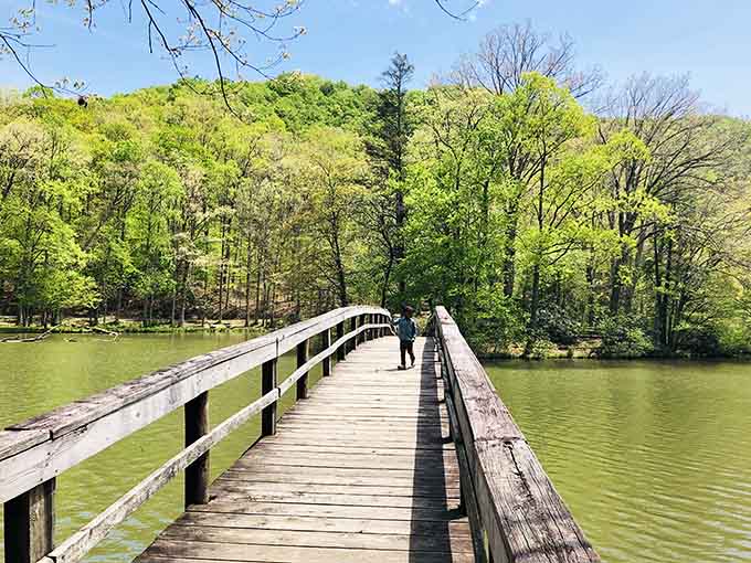Cross this wooden bridge and leave your worries on the other side, at least for the afternoon.