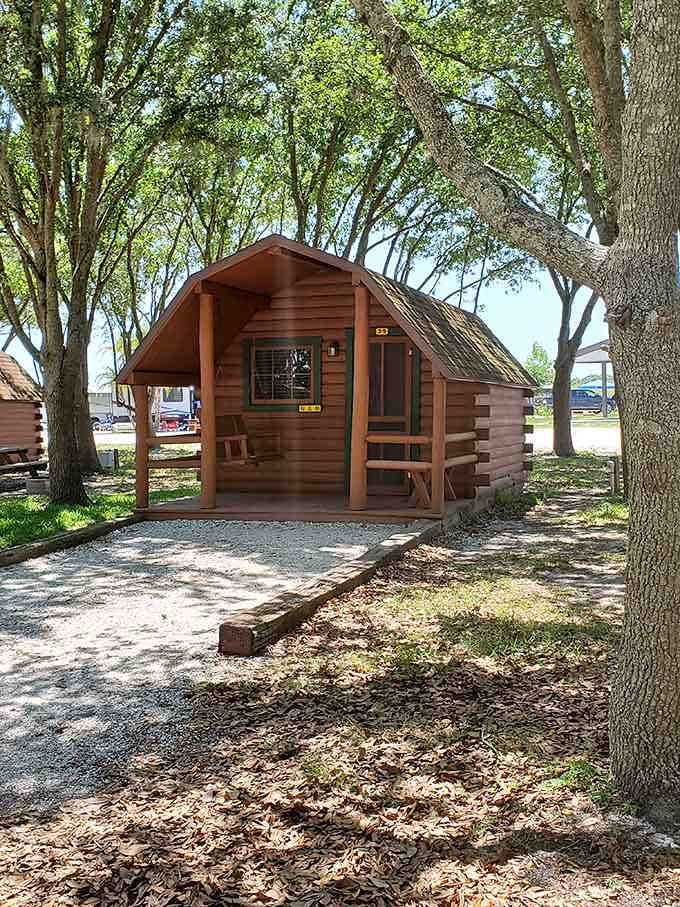 A cozy cabin nestled under oak trees, where camping meets actual comfort and air conditioning fantasies.