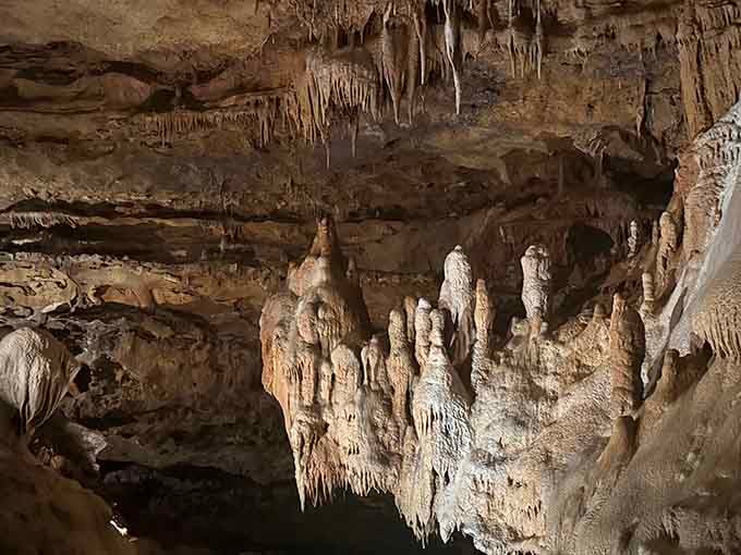 Clusters of stalactites create an otherworldly forest growing downward instead of up, defying all logic.