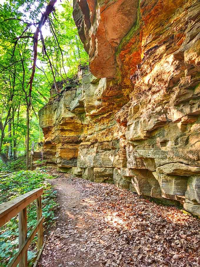 Layers of ancient rock tell stories in rust and cream, like a geological library written in stone.