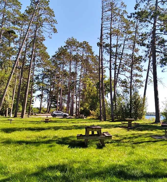 Jim and Ida Goulette Park offers lakeside picnic spots where your biggest decision is which tree provides better shade.