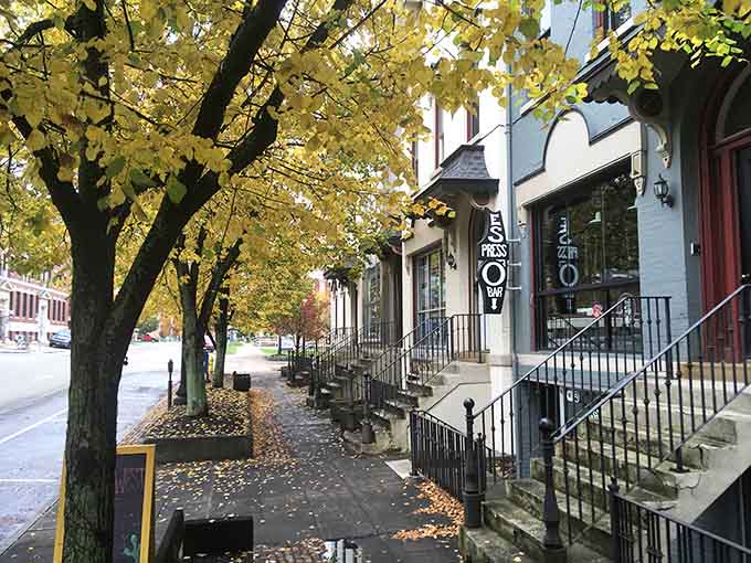 Golden autumn leaves carpet the sidewalk like nature's own welcome mat for a perfectly preserved neighborhood stroll.