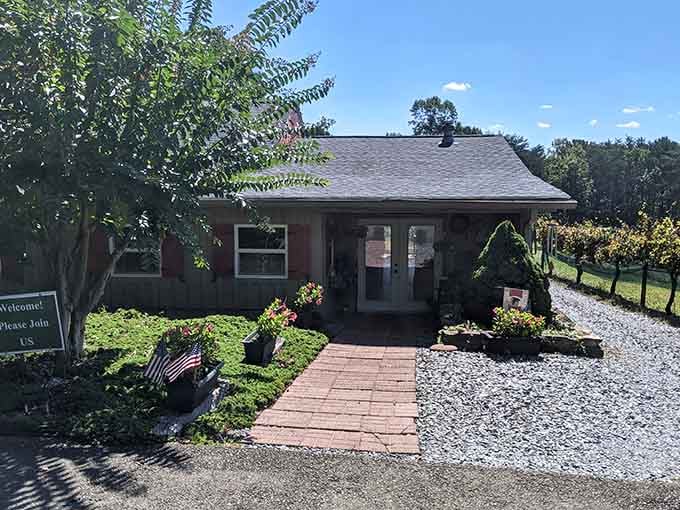 This roadside spot proves Georgia's wine country is real, welcoming, and ready for your afternoon tasting adventure.