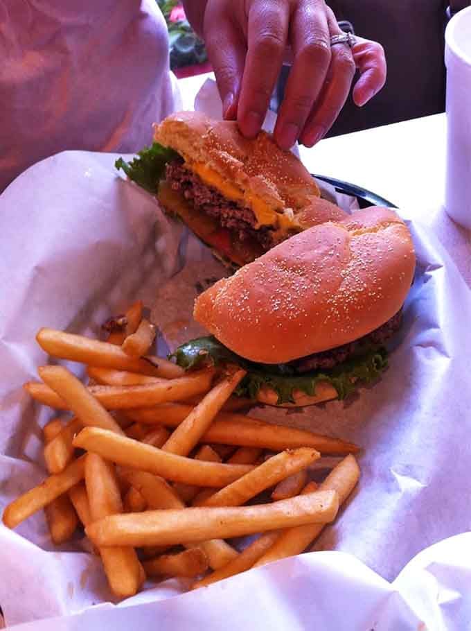 Classic cheeseburger perfection with golden fries, because sometimes tradition deserves its moment to shine too.