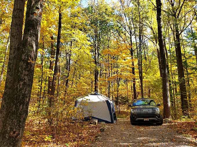 Camping among golden leaves where your biggest decision is which tree provides the best morning shade for coffee.