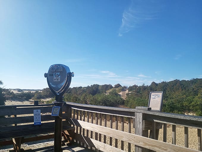 That observation deck view hits different when you realize you're looking at one of nature's most impressive sand sculptures.