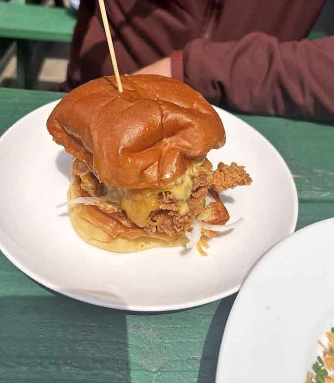 The Mr. Onion knows what it's doing, piled high with flavor and topped with enough green onions to make you weep with joy.