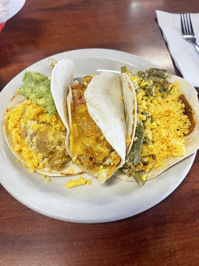 Three tacos, one plate, and the kind of breakfast decision that's going to make your entire day better.