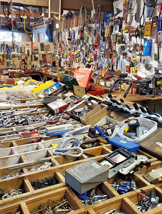 Every tool has a story, and this vendor's collection could fill an entire hardware store memoir.