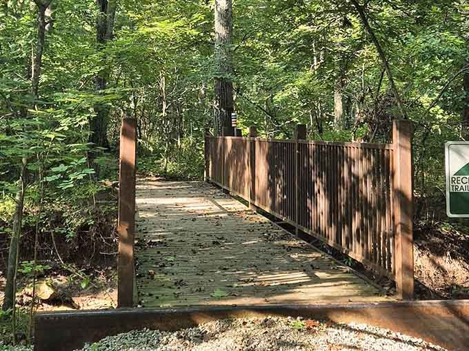 This handsome boardwalk keeps your feet dry while delivering you straight into the heart of wilderness.