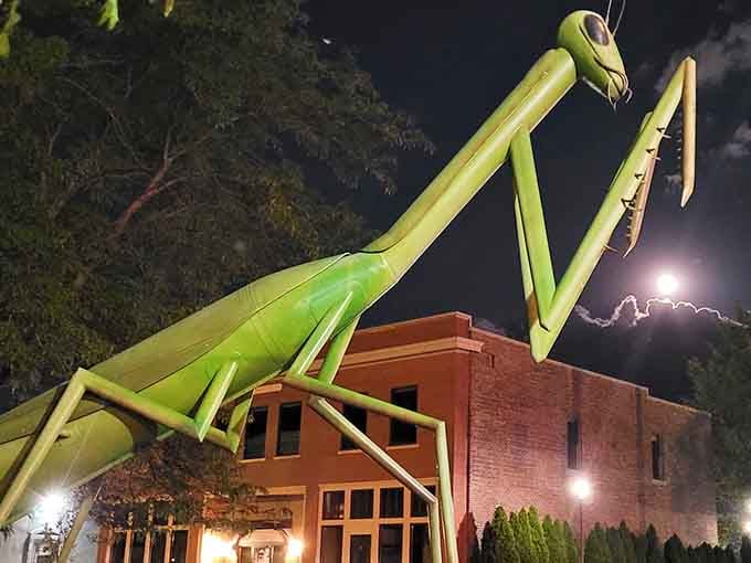 When the sun goes down, this lime-green giant transforms into Kokomo's most electrifying nighttime spectacle.
