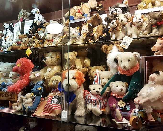 These plush companions have been waiting patiently for someone to take them home and love them again.