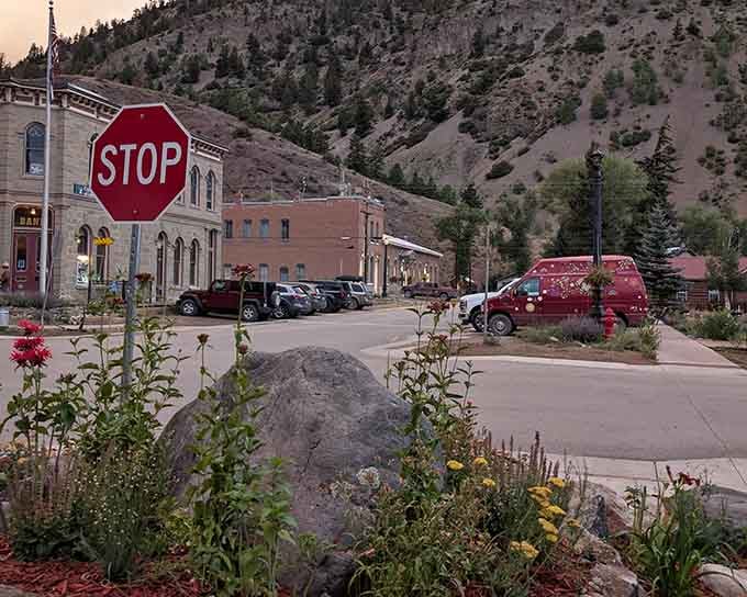 Golden hour light bathes this intersection where wildflowers and stop signs coexist in perfect mountain town harmony.