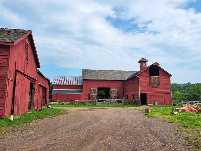 Classic red barns dot the countryside, reminding you that New Jersey's agricultural heritage is alive and thriving beautifully.