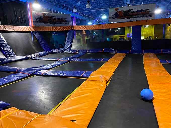 The trampoline park where gravity becomes optional and your childhood dreams of flying finally come true.