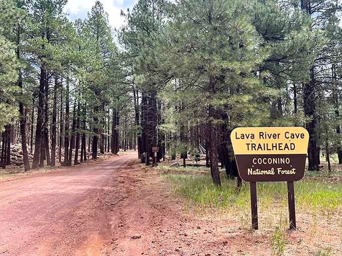 This unassuming trailhead sign marks the gateway to one of Arizona's most extraordinary underground adventures awaiting you.