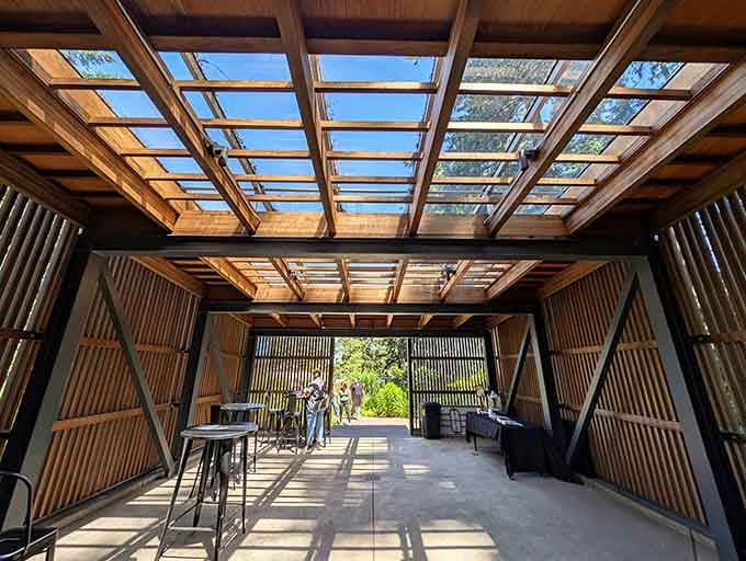 Modern architecture meets forest serenity in this stunning pavilion that frames nature like a living artwork.