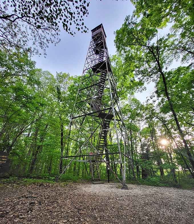 Climb the fire tower if you dare, because nothing says "I conquered my fear of heights" like panoramic forest views.