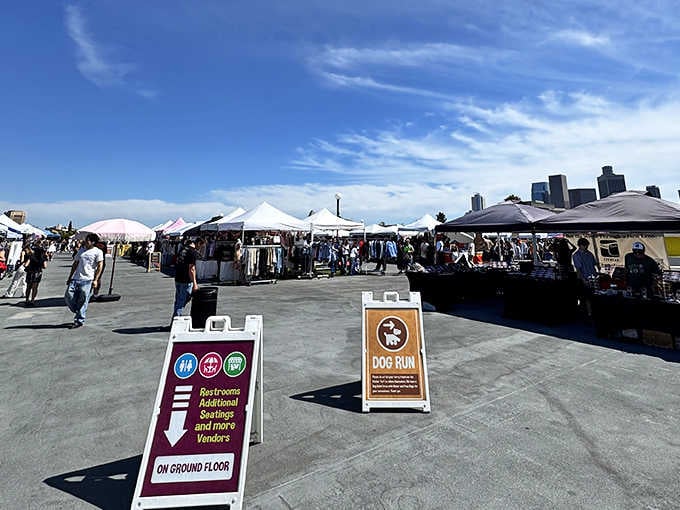 Wide open spaces filled with endless possibilities, because apparently parking lots have a higher calling than just cars.