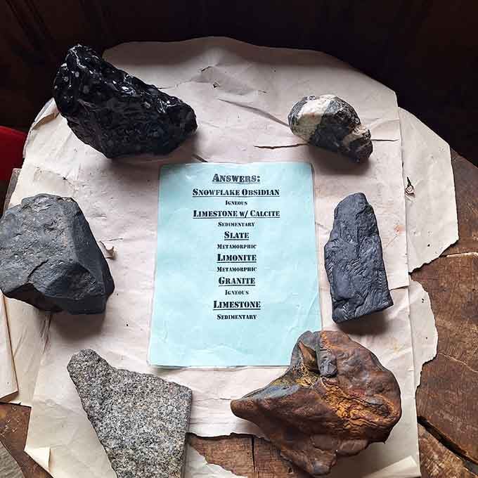 The museum's rock collection teaches geology better than any textbook ever could, making science actually fun again.