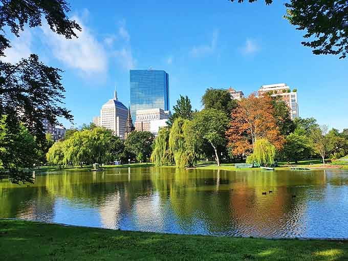 Nothing says peaceful afternoon quite like the Public Garden's lagoon reflecting Boston's impressive skyline above.