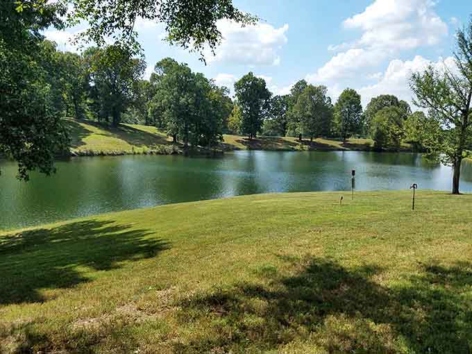 Peaceful lakeside views that make you wonder why anyone would choose a crowded beach when this tranquility exists right here.