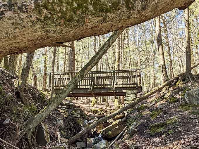 That footbridge over the stream is basically Connecticut's version of finding Narnia in your own backyard.