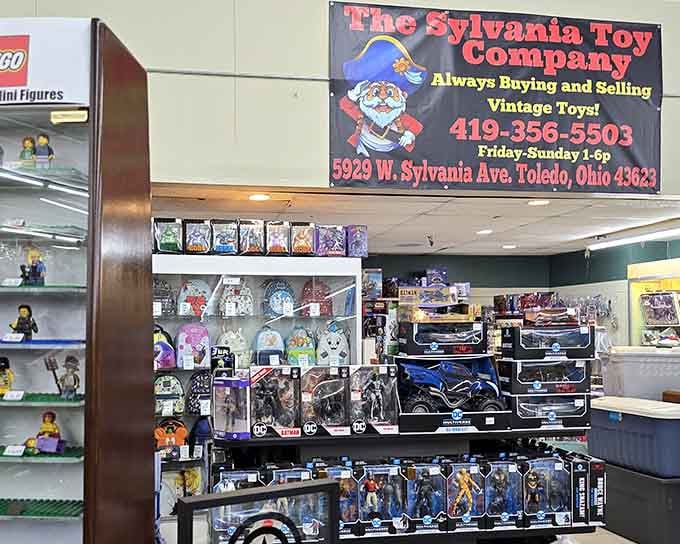 Action figures and collectibles that once ruled toy boxes now wait for collectors who never outgrew them.