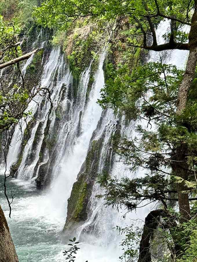 Hundreds of springs burst through volcanic rock, creating a waterfall that looks like nature's own fountain show.