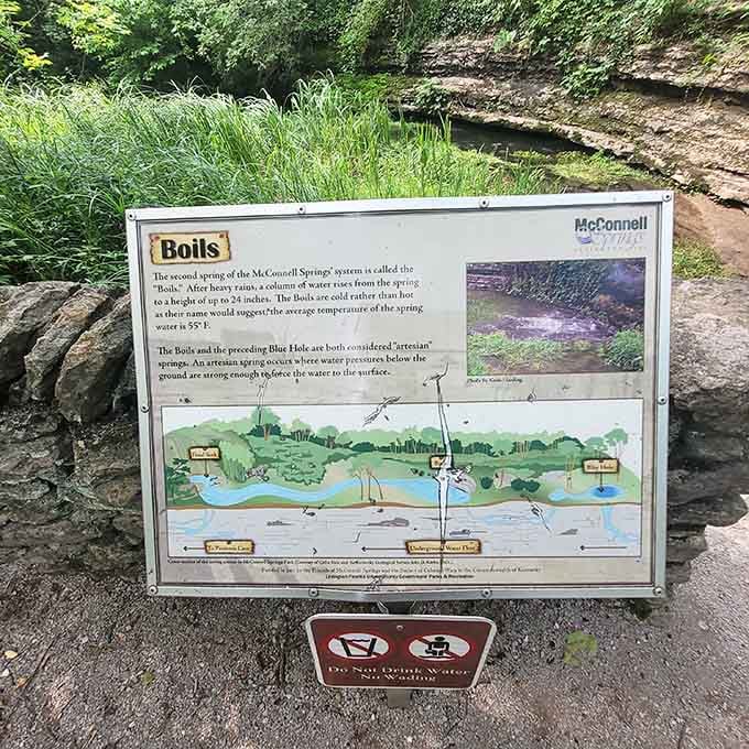 Educational signs that actually make you want to read them instead of pretending you did.