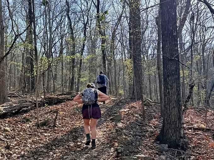 Fellow adventurers proving that the best views require a little effort and possibly questioning some life choices along the way.