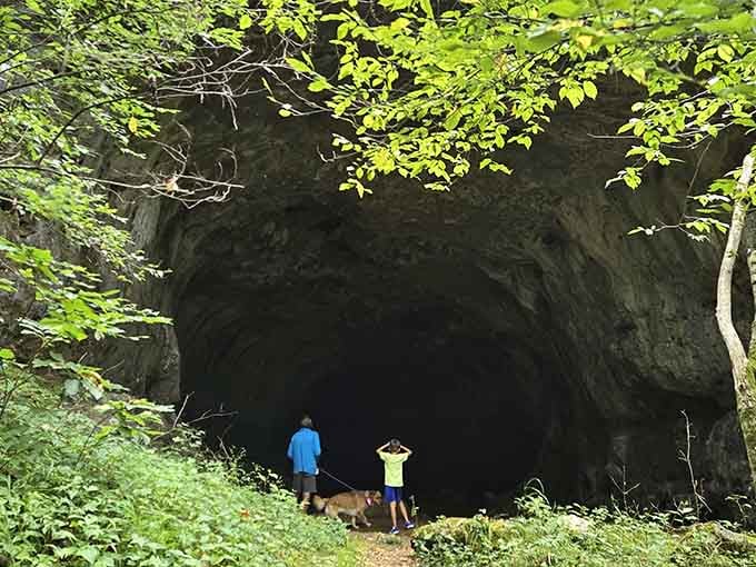 Even the dogs know this cave entrance is worth investigating &ndash; they've got better adventure instincts than most people.