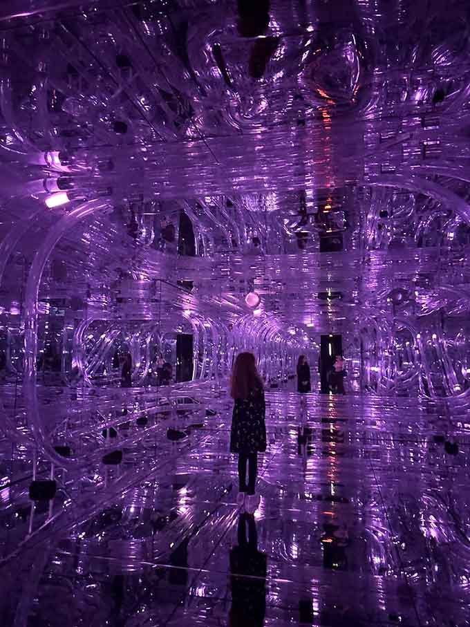 Purple waves of light wash over transparent sculptures in this otherworldly pneumatic transmission installation.