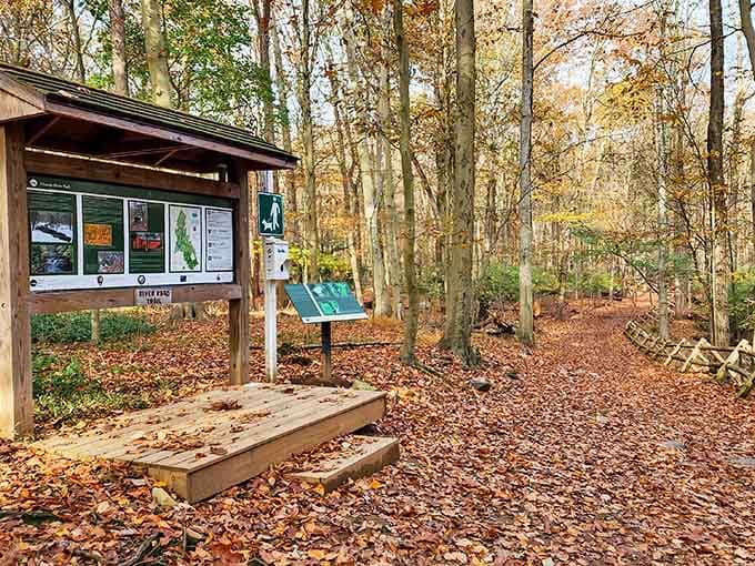 Trail information that actually helps, proving that getting lost in nature should be metaphorical, not literal.