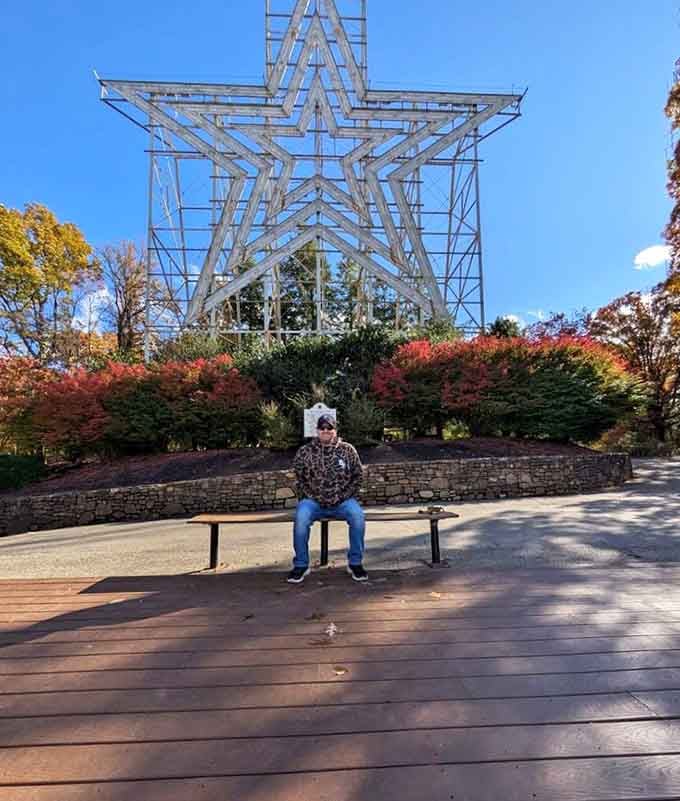 Autumn foliage frames the star perfectly, creating Instagram gold that needs zero filters to impress your followers.