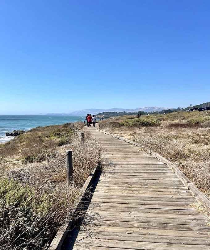 The boardwalk gently curves through coastal paradise, inviting wanderers to discover what's around every beautiful bend ahead.