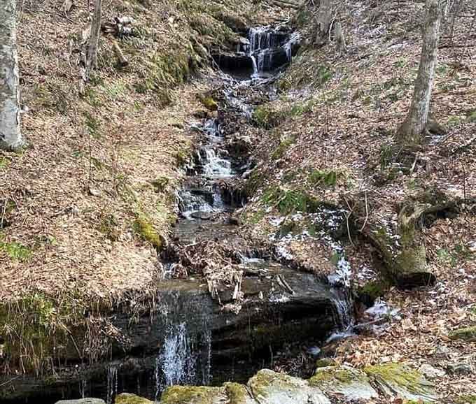 March Cataract Falls cascades through moss-covered rocks, performing its seasonal symphony for patient forest wanderers.