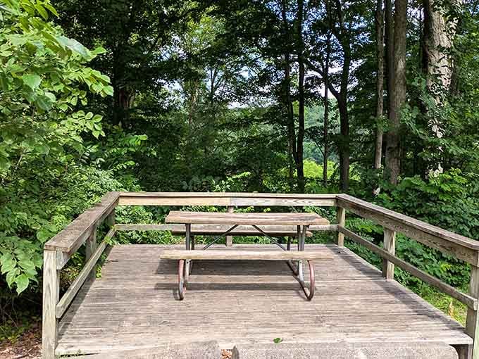 The best restaurant in the park: your own picnic table with a view money can't buy.