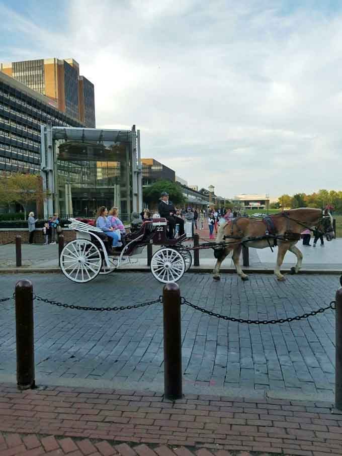 Historic charm meets modern Jersey at this waterfront promenade where horse-drawn carriages still clip-clop past contemporary architecture.