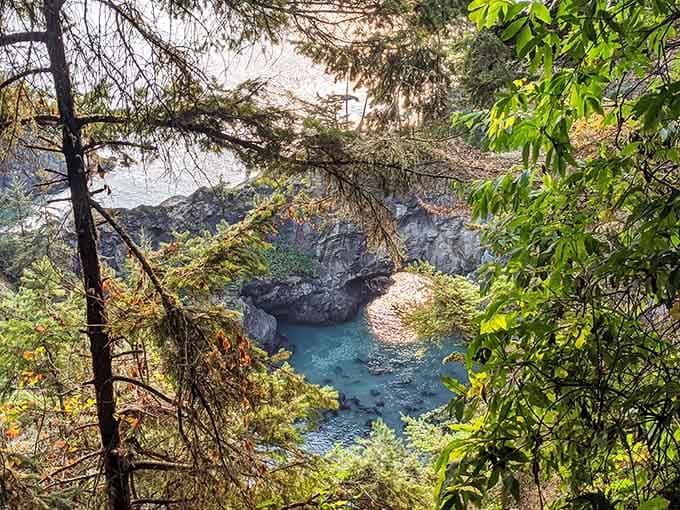 Peek through the trees and catch glimpses of turquoise coves that'll make your heart skip a beat.