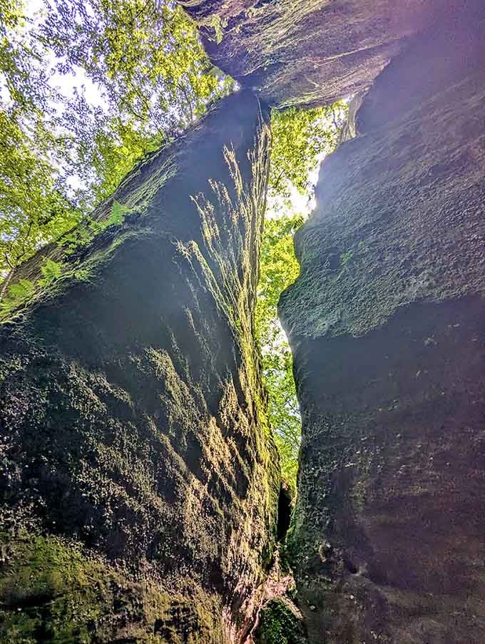 Looking up through this stone corridor reveals sky framed by geology's patient artistry.