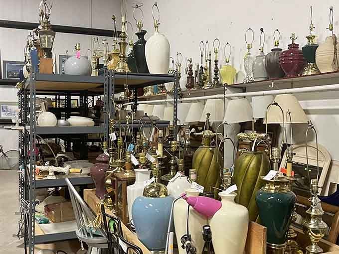 Vintage lamps glow with possibility, each one a conversation starter waiting for the right home.