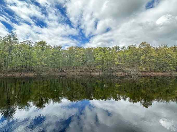The reflecting pond mirrors the sky so perfectly you might forget which way is up.