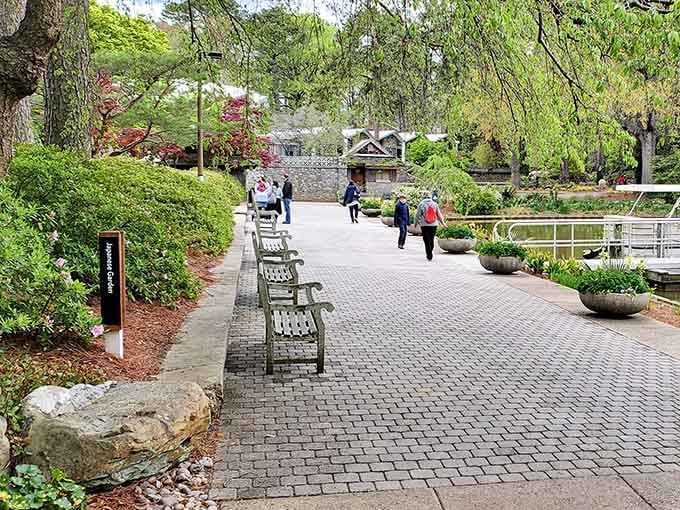 Benches strategically placed along the path suggest someone understood that beauty appreciation requires occasional sitting and contemplating.