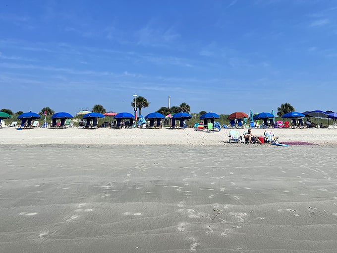 Blue umbrellas line the beach like a welcoming committee, ready to shade your best vacation nap ever.