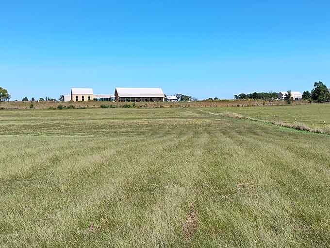 Rolling fields that fed families in the 1860s still grow heritage crops using methods your great-great-grandparents would recognize.