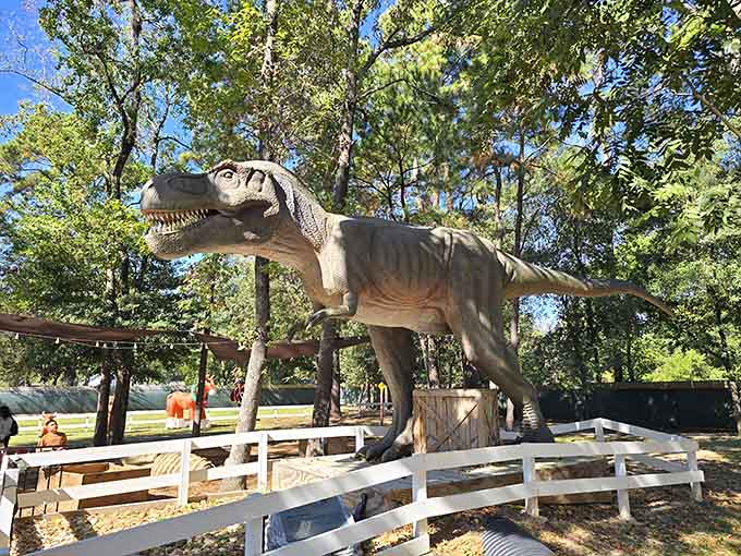This T-Rex towers over the landscape, proving that everything really is bigger in Texas, including the prehistoric residents.